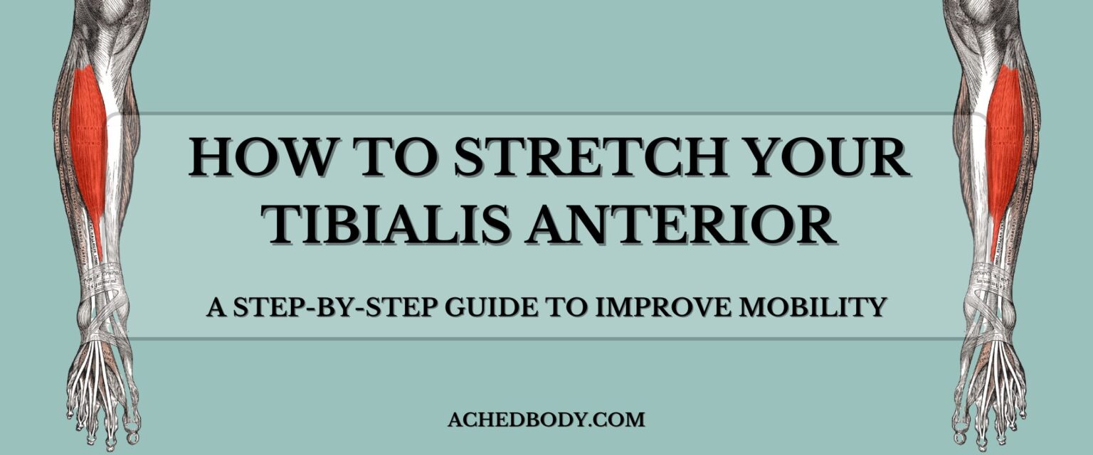 How to Stretch Your Tibialis Anterior: A Step-by-Step Guide to Improve ...