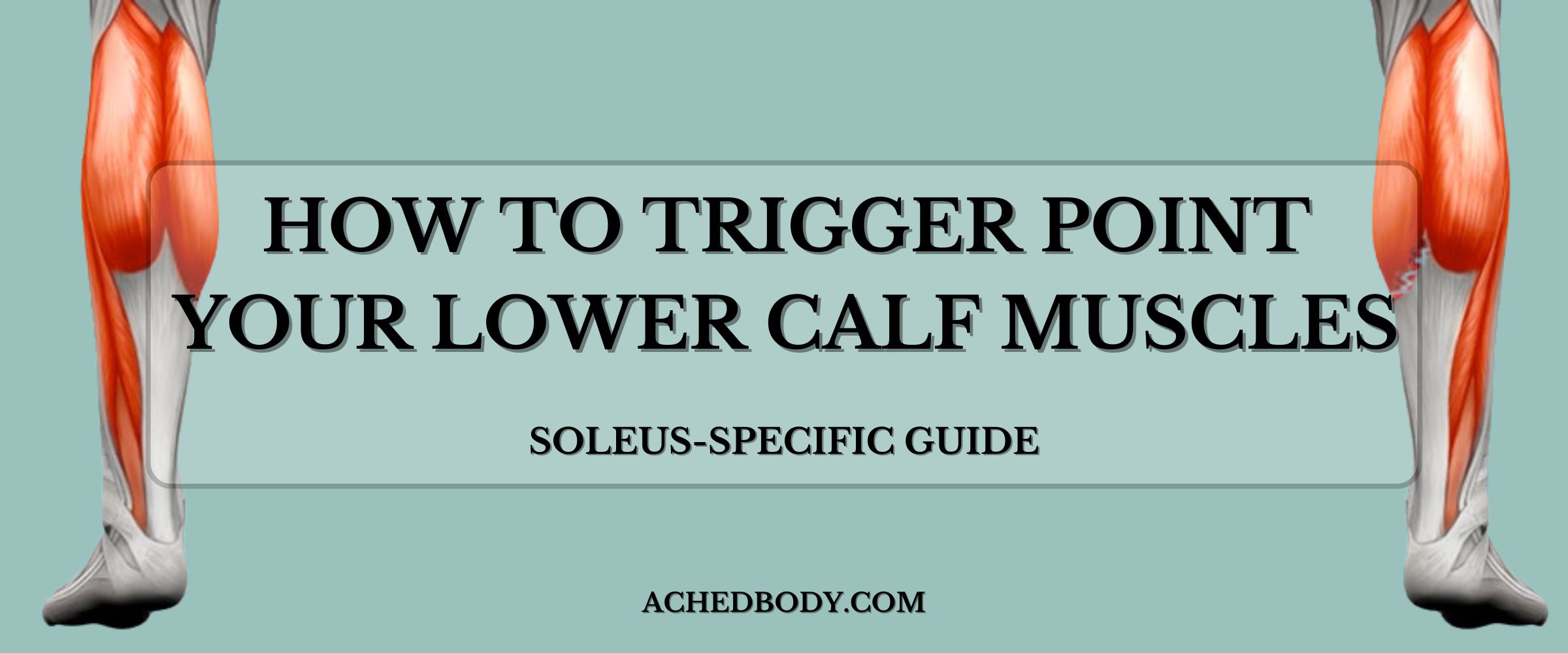 How to Trigger Point Your Lower Calf Muscles (Soleus-Specific) - The ...