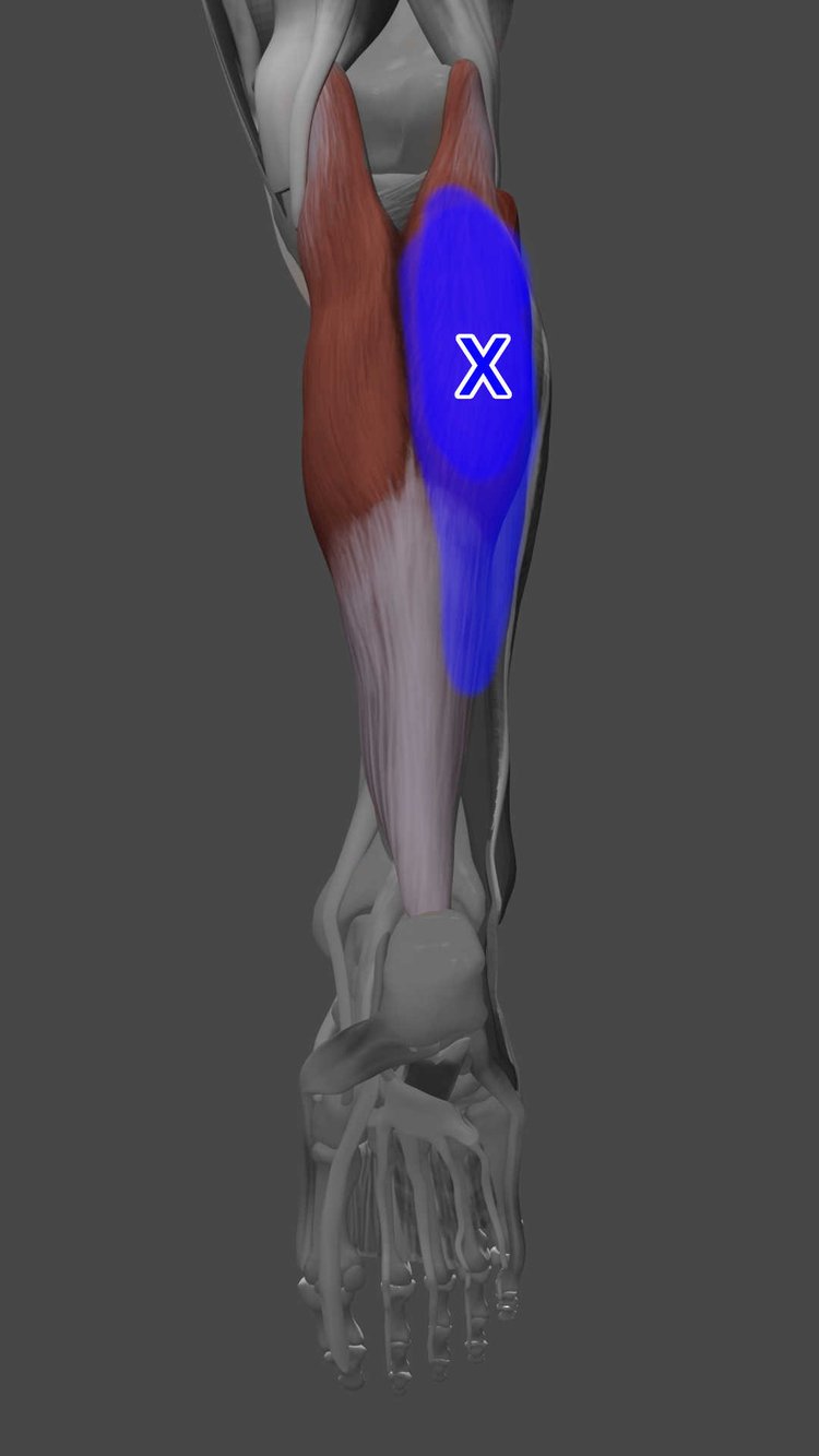 How to Release Trigger Points in the Calf - The Ached Body