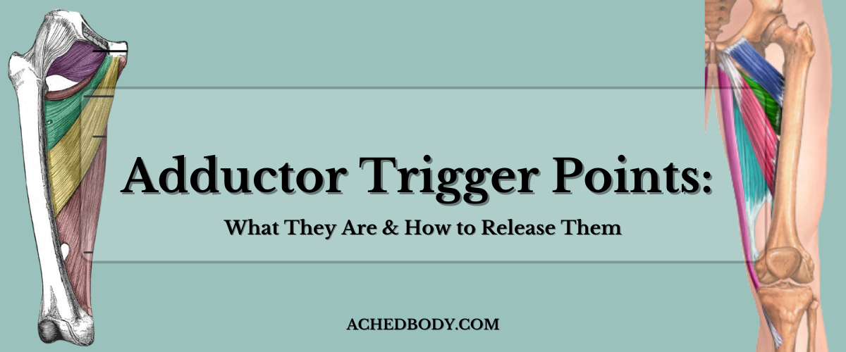 Adductor Trigger Points: What They Are & How to Release Them - The Ached Body